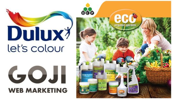 Goji Notches Up 1000% Returns For Dulux’s Newest Brand | Goji Web